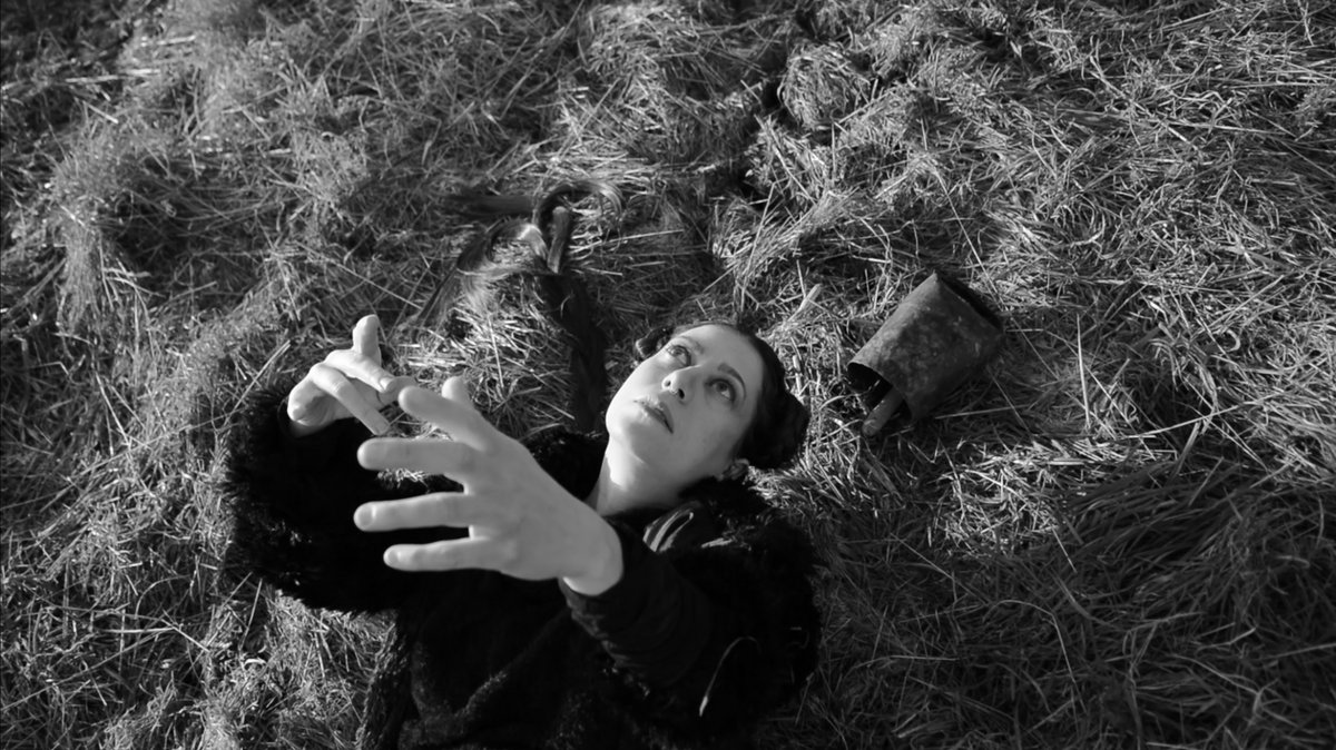 Introducing... Maud the Moth - Higher Plain Music