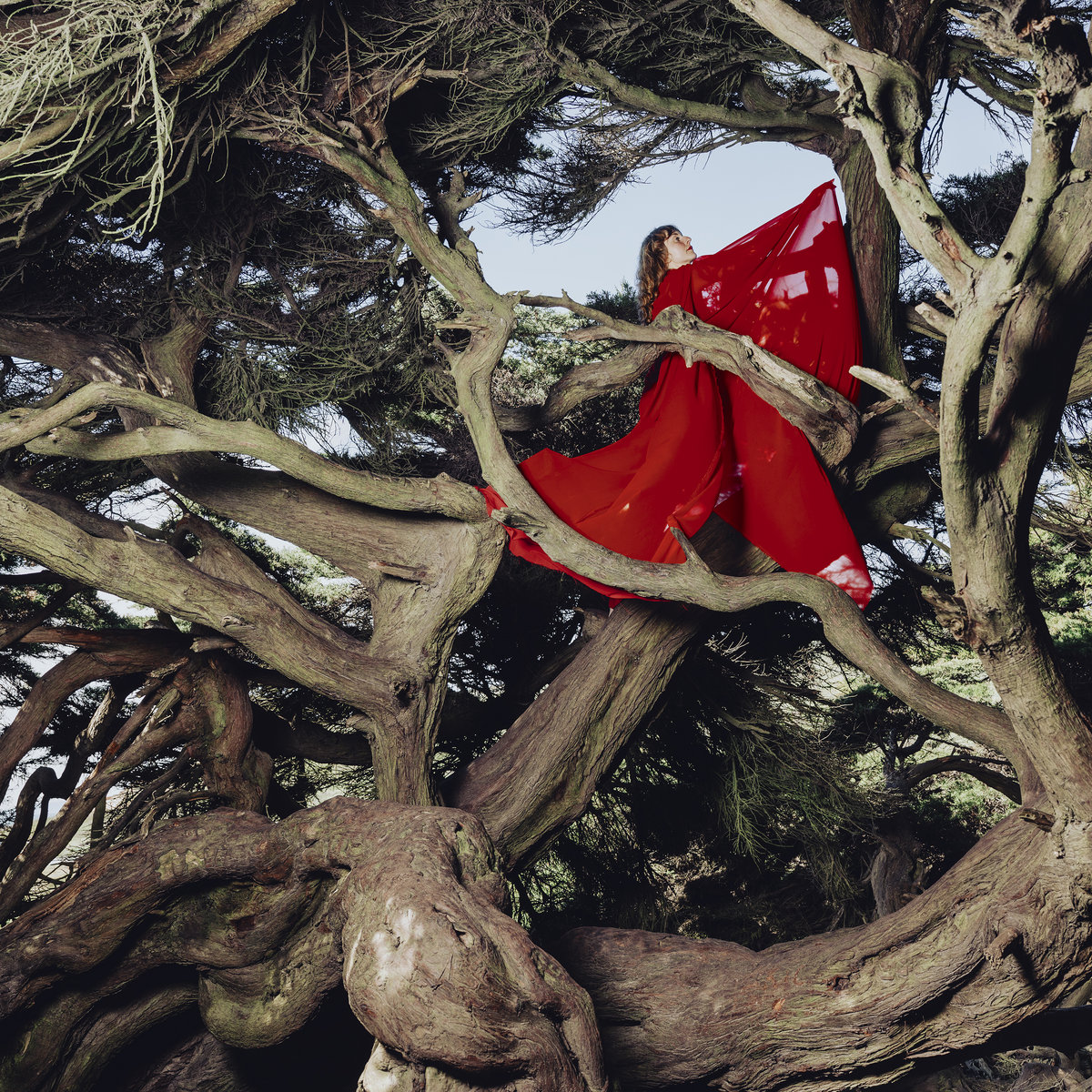 Hannah Frances returns with new avant rock single and album coming ...